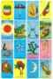 Downloadable printable Loteria cards - Downloadable printable loteria cards